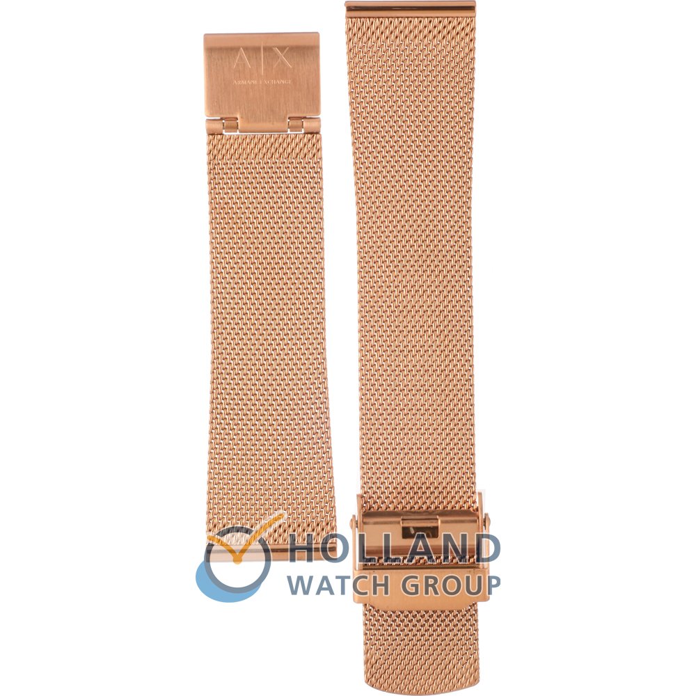 Armani Exchange AAX5550 Strap - AX5550 Lola