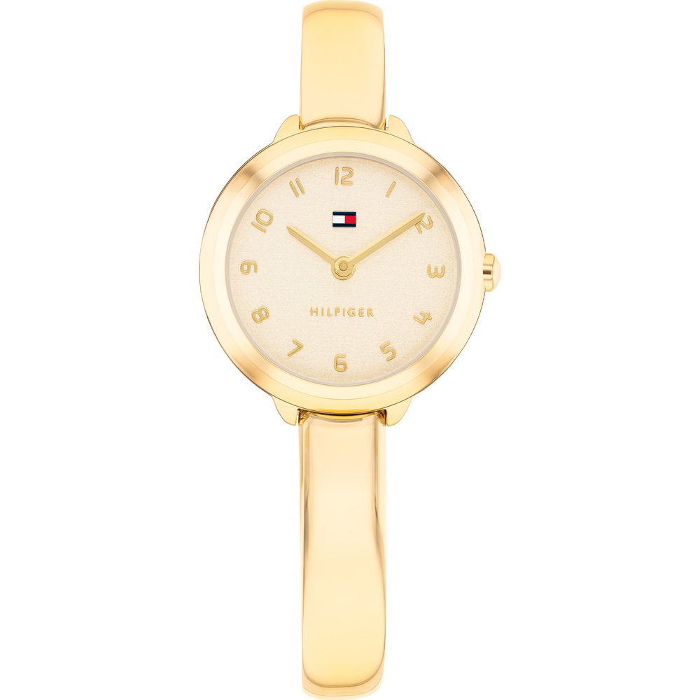 Tommy Hilfiger 1782895 Watch • EAN: 7613272683074 • Mastersintime.com