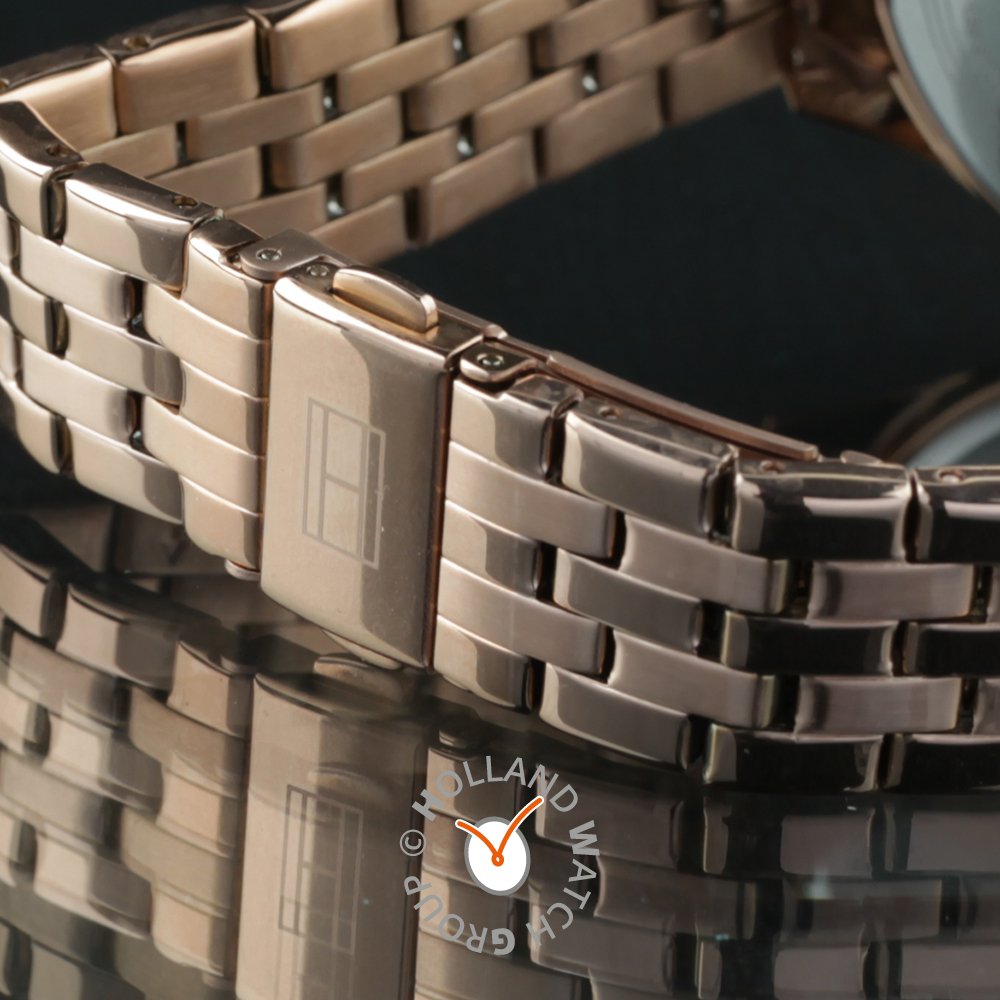 Tommy Hilfiger 1781978 watch - Ari